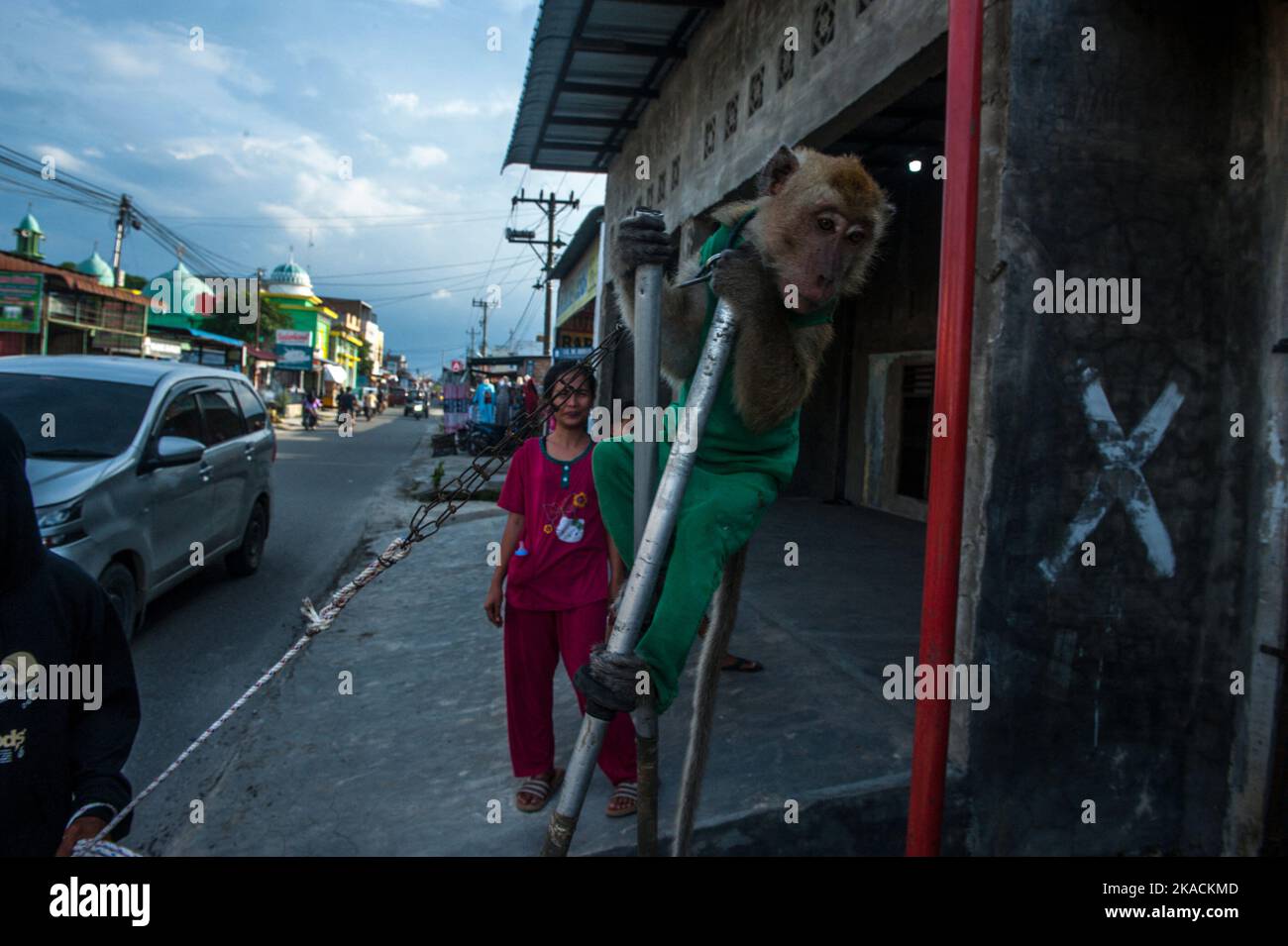 The long-tailed monkey (Macaca fascicularis) mask street attraction ...