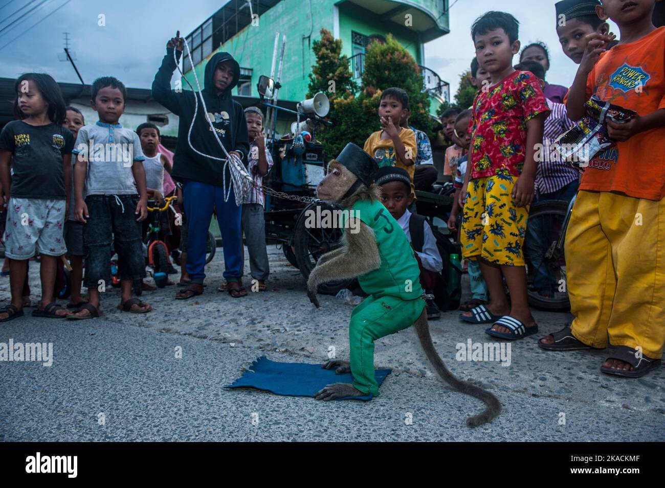 The long-tailed monkey (Macaca fascicularis) mask street attraction ...
