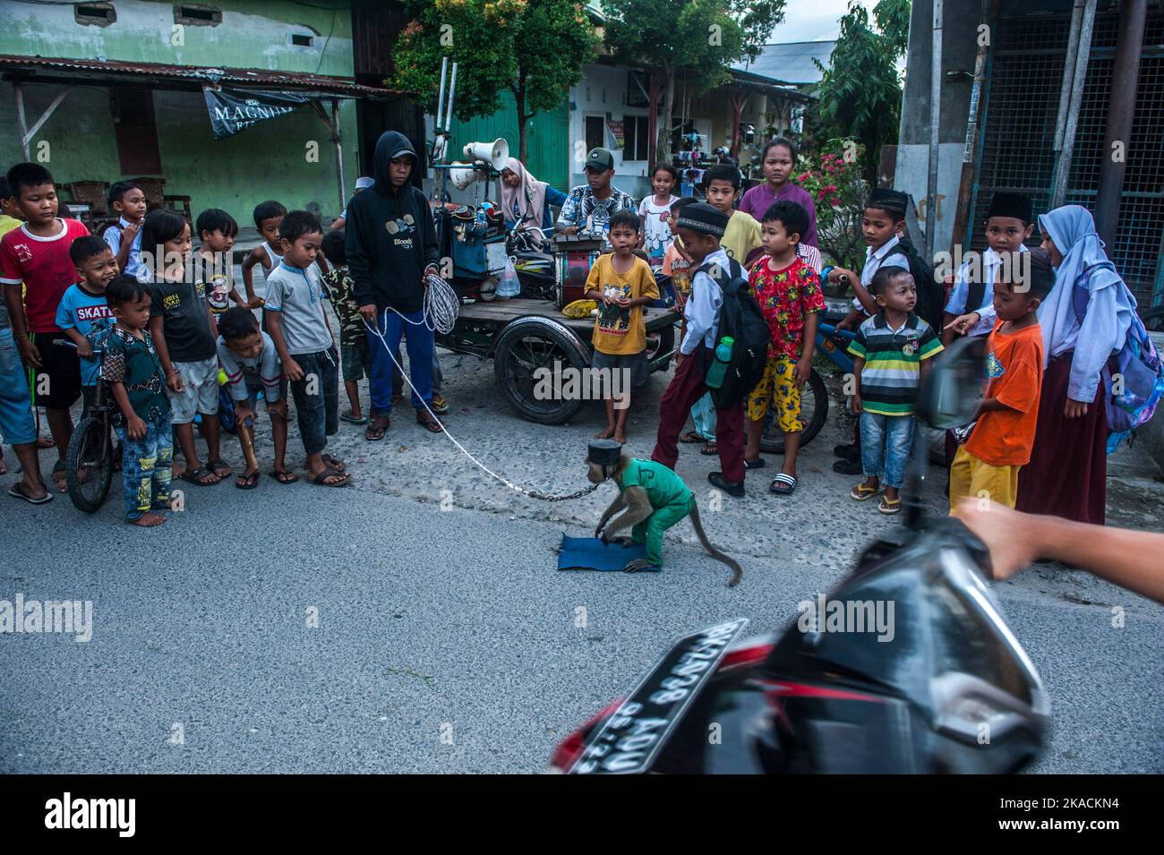 The long-tailed monkey (Macaca fascicularis) mask street attraction ...