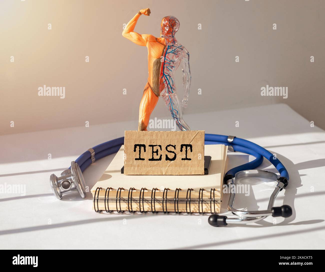 Medical test concept. Word on paper. Healthy habits Stock Photo - Alamy