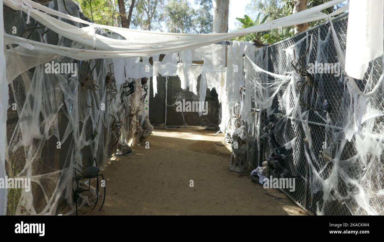 Los Angeles, California, USA 27th October 2022 Spooky Trail at Boo at ...