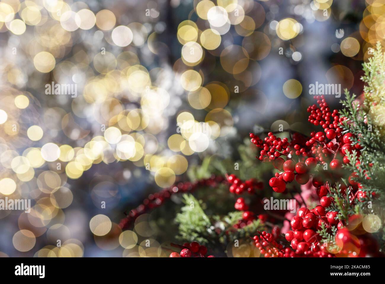 Glowing holly berries hi-res stock photography and images - Alamy