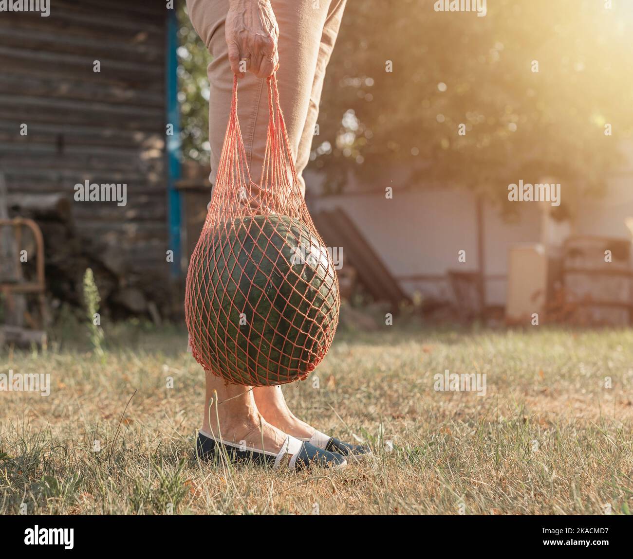 Watermelon in eco string tote bag in female hands, carrying it outside ...