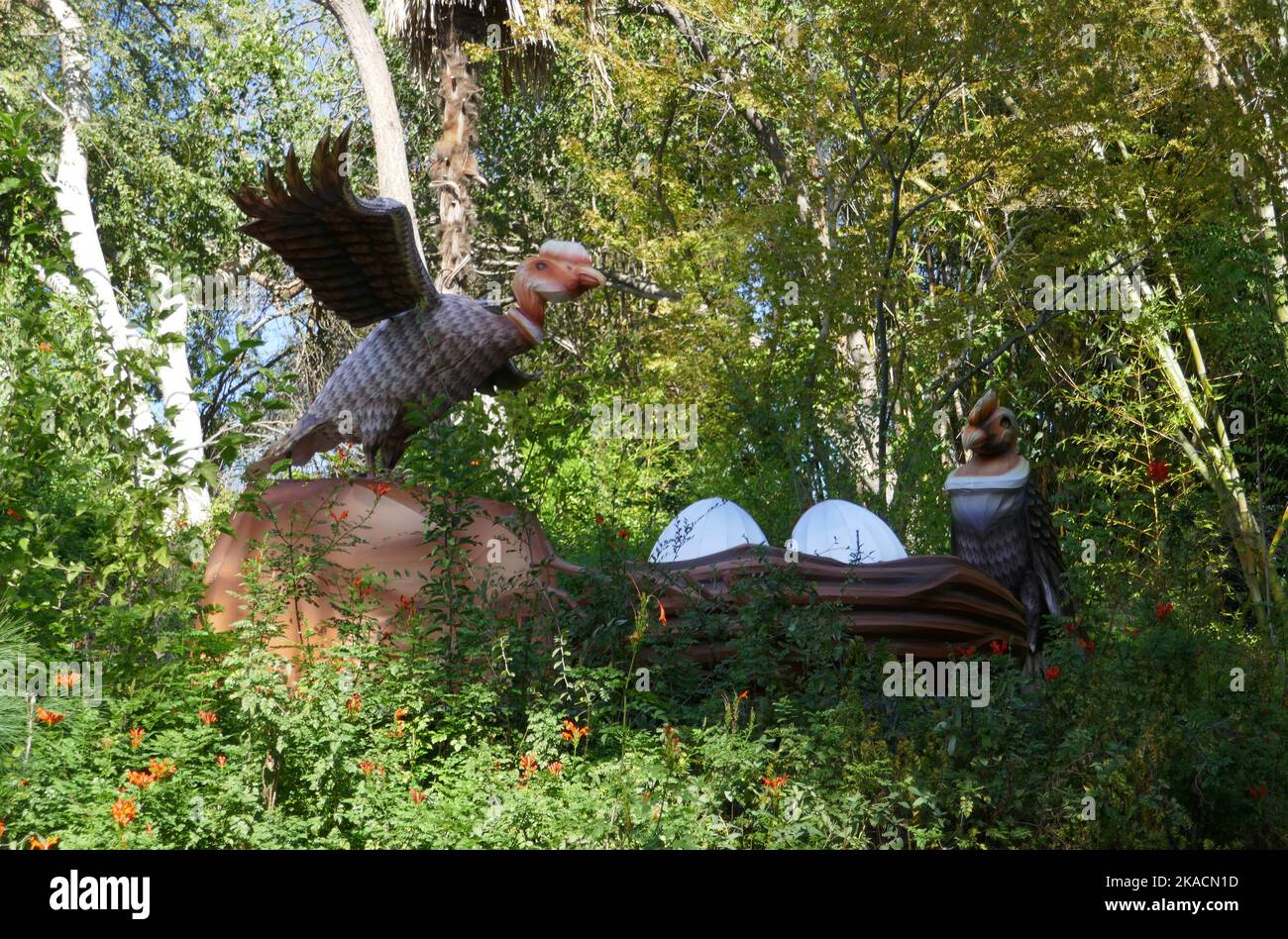 Los Angeles, California, USA 27th October 2022 Calfornia Condors at Boo ...