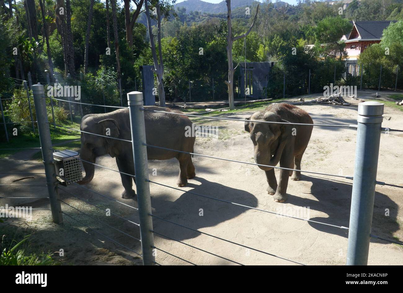 Los Angeles, California, USA 27th October 2022 Elephants at Boo at the ...