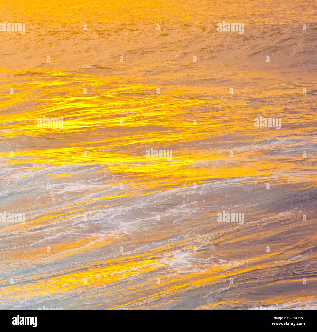 beautiful waves at the beach in sunset Stock Photo - Alamy