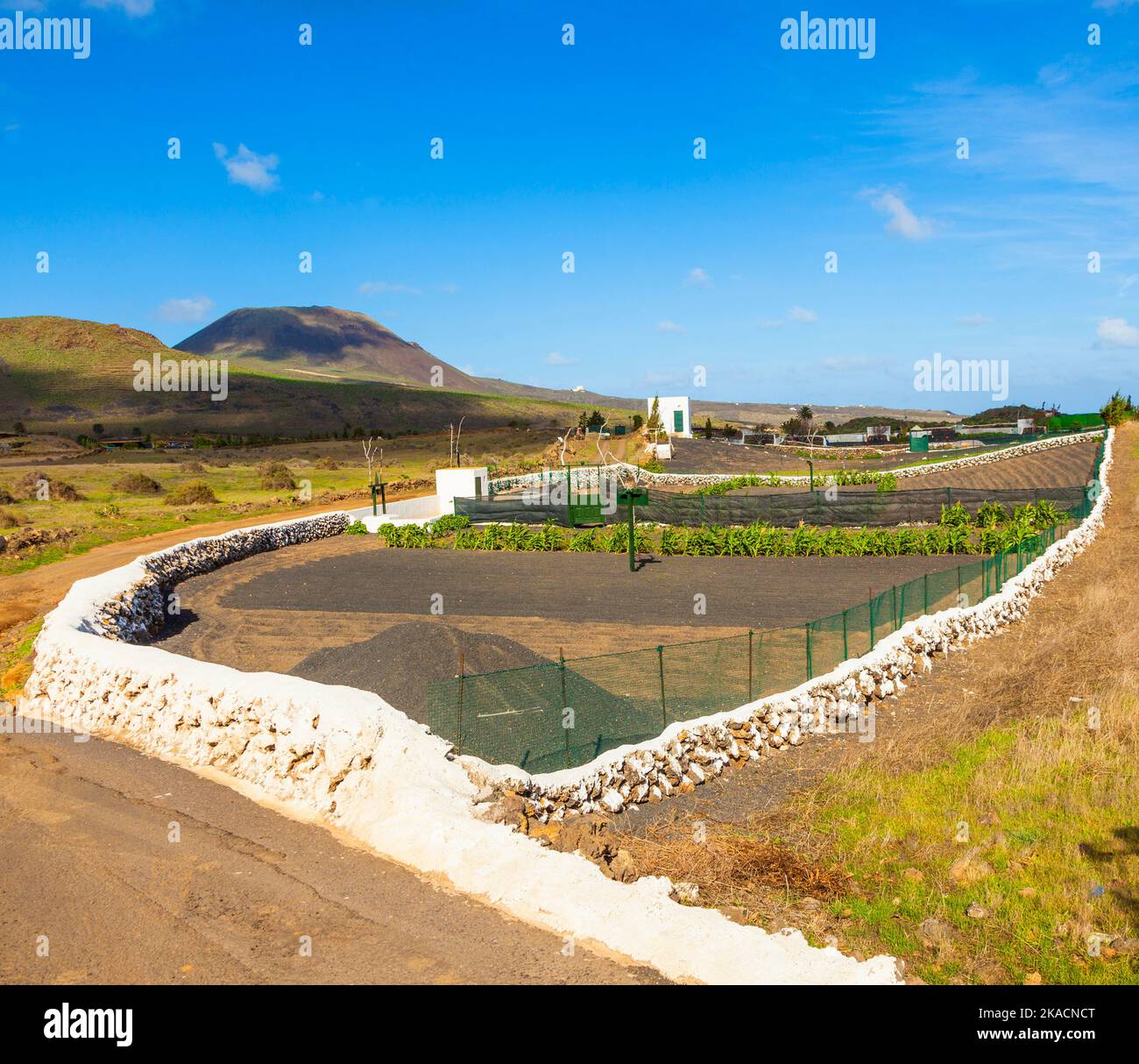 field in rural area with blue sky near Haria Stock Photo - Alamy