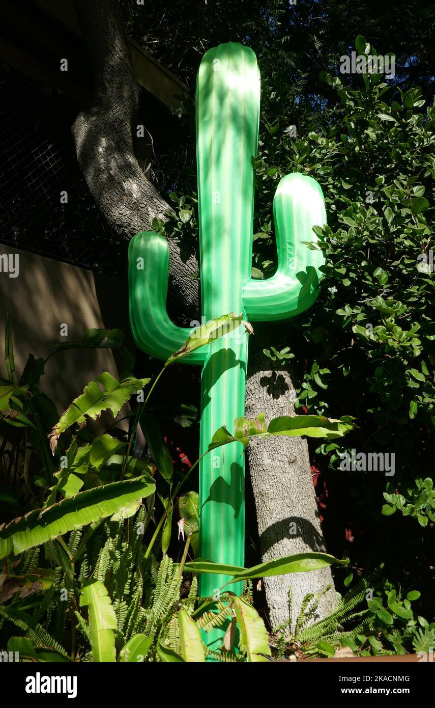 Los Angeles, California, USA 27th October 2022 Sagauro Cactus at Boo at ...