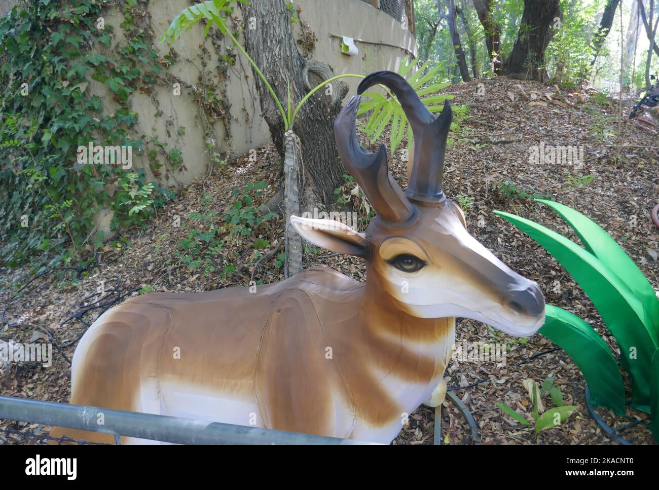 Los Angeles, California, USA 27th October 2022 Pronghorn at Boo at the ... Los Angeles, California, USA 27th October 2022 Pronghorn at Boo at the ...