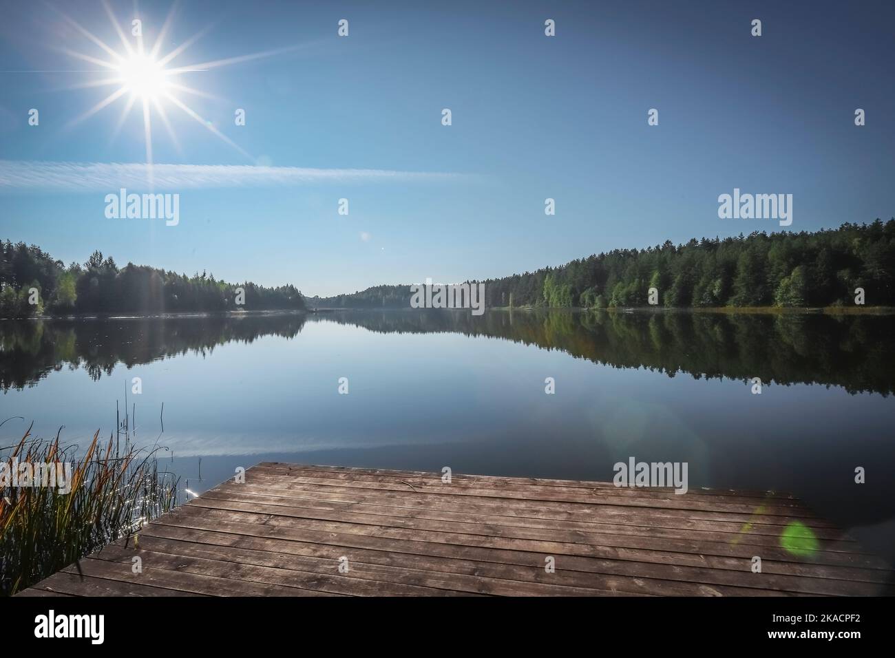 Summer landscape with green forest, lake water, clear sky with sun ...