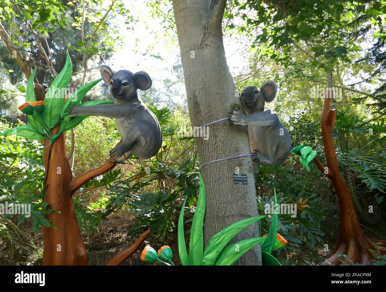 Los Angeles, California, USA 27th October 2022 Koalas at Boo at the Zoo ...