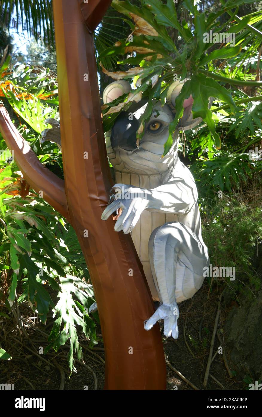 Los Angeles, California, USA 27th October 2022 Koala at Boo at the Zoo ...
