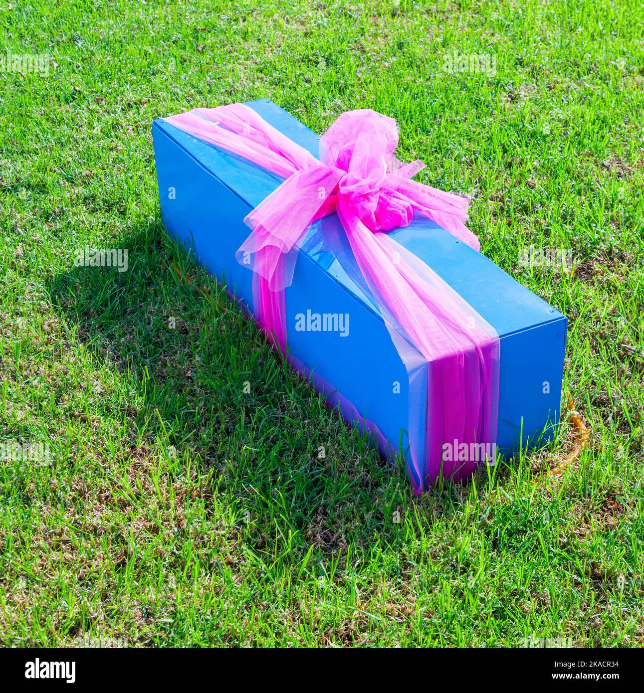 Packed in a box hi-res stock photography and images - Alamy