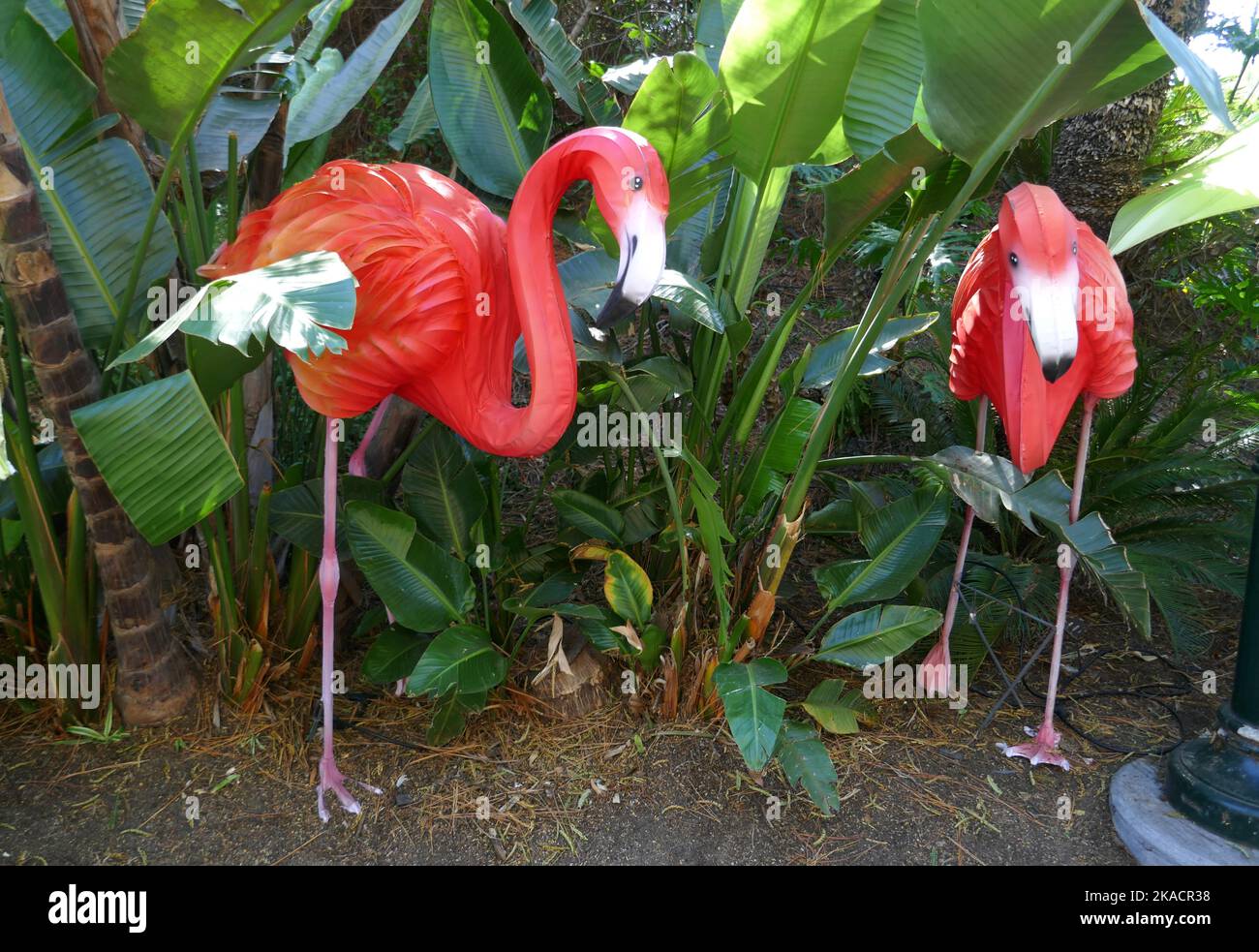 Los Angeles, California, USA 27th October 2022 Flamingos at Boo at the ...