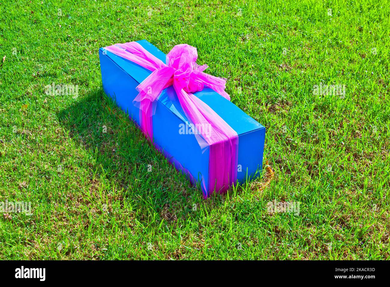gift packed in a box and lying in the grass Stock Photo - Alamy
