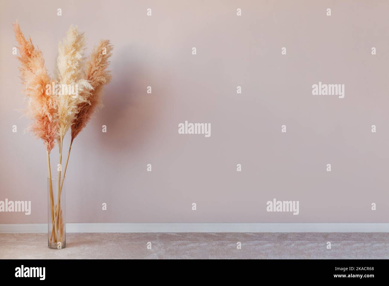 Dry fluffy flowers in glass vase on pink pastel wall background Stock ...