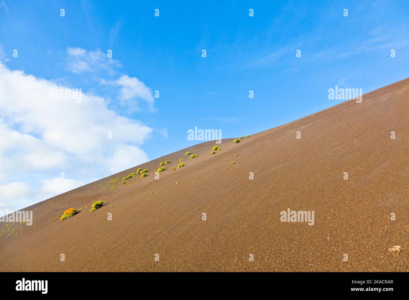 sparse vegetation on volcanic hills in Timanfaya National Park with ...
