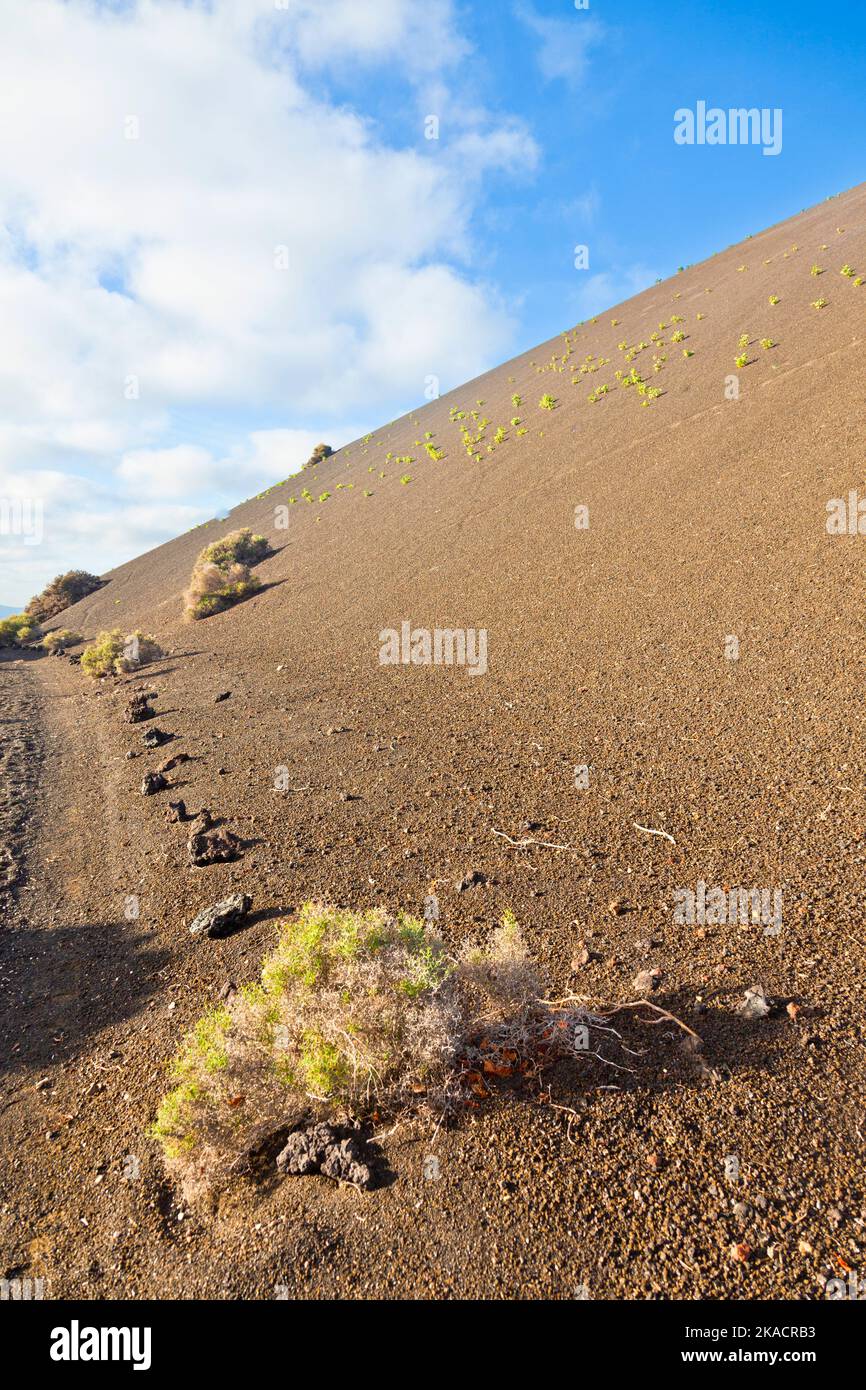 sparse vegetation on volcanic hills in Timanfaya National Park with ...
