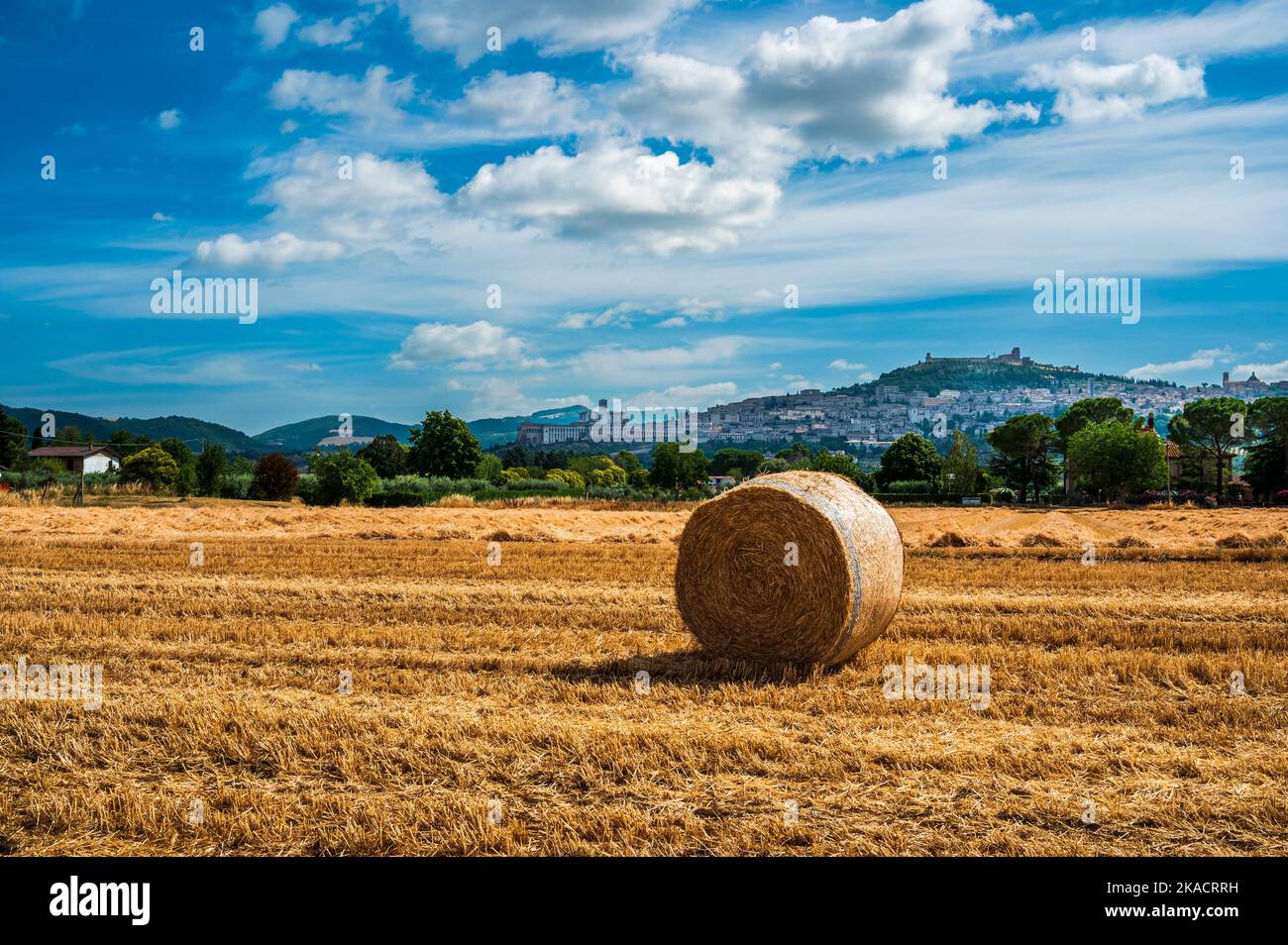 Cultivated fields and flowers on the slopes of Monte Subasio. Assisi ...