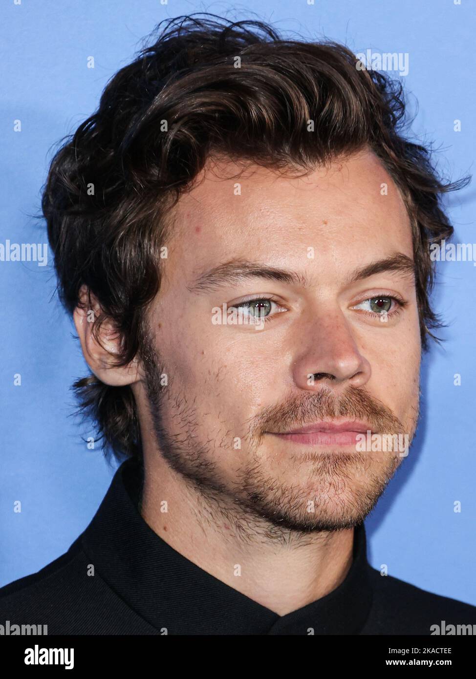 WESTWOOD, LOS ANGELES, CALIFORNIA, USA - NOVEMBER 01: English singer ...