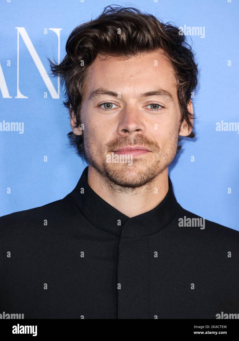 WESTWOOD, LOS ANGELES, CALIFORNIA, USA - NOVEMBER 01: English singer ...