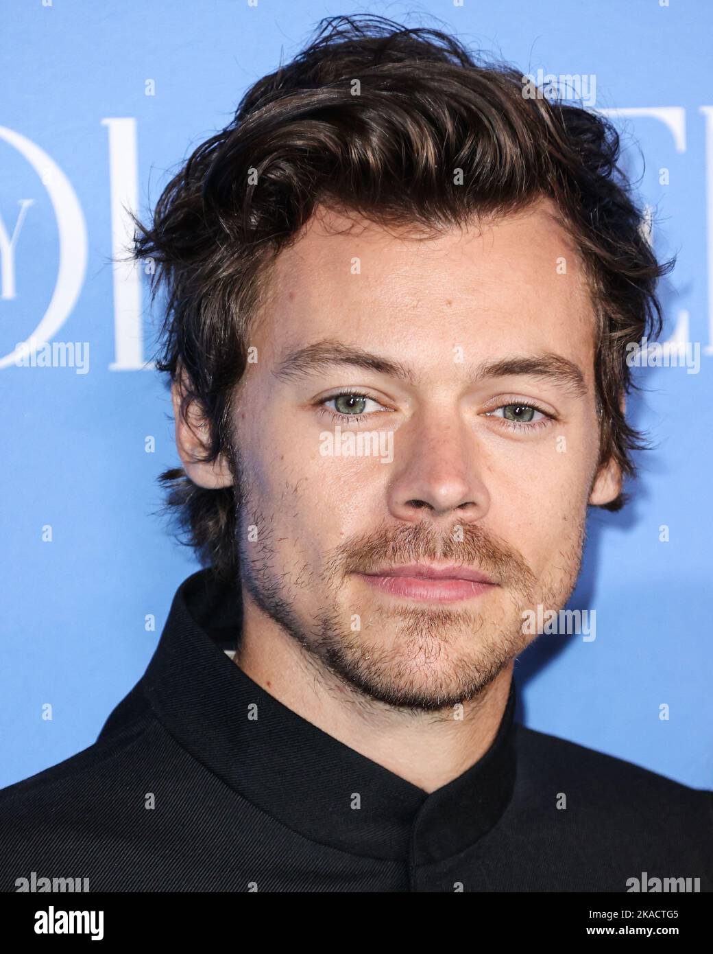 WESTWOOD, LOS ANGELES, CALIFORNIA, USA - NOVEMBER 01: English singer ...