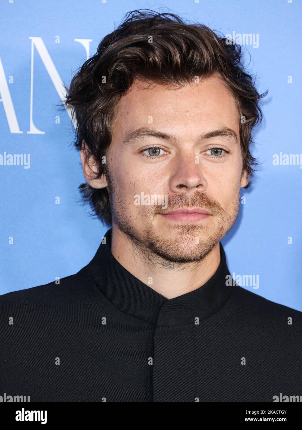 WESTWOOD, LOS ANGELES, CALIFORNIA, USA - NOVEMBER 01: English singer ...