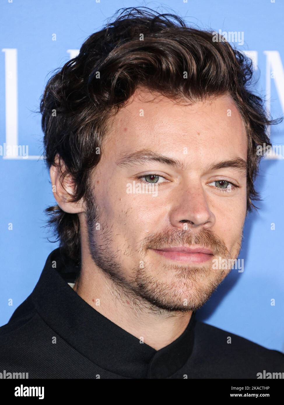 WESTWOOD, LOS ANGELES, CALIFORNIA, USA - NOVEMBER 01: English singer ...