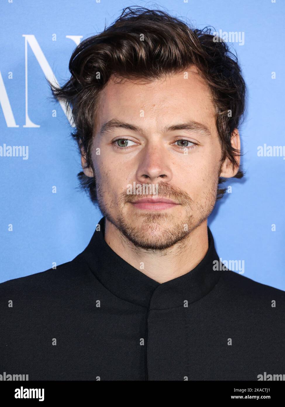 WESTWOOD, LOS ANGELES, CALIFORNIA, USA - NOVEMBER 01: English singer ...