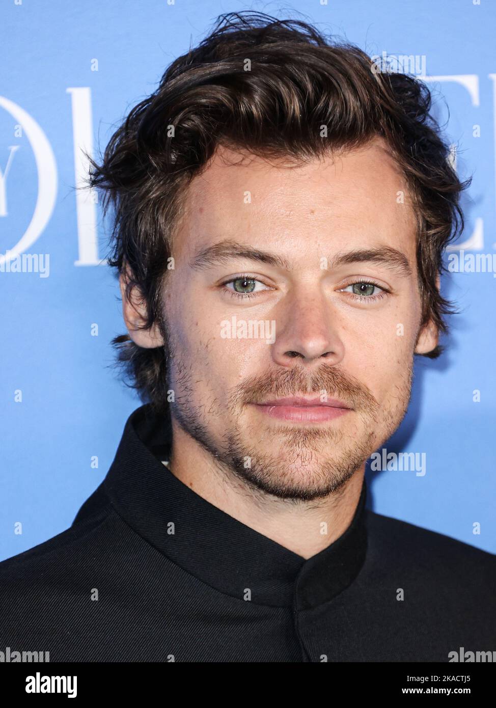 WESTWOOD, LOS ANGELES, CALIFORNIA, USA - NOVEMBER 01: English singer ...