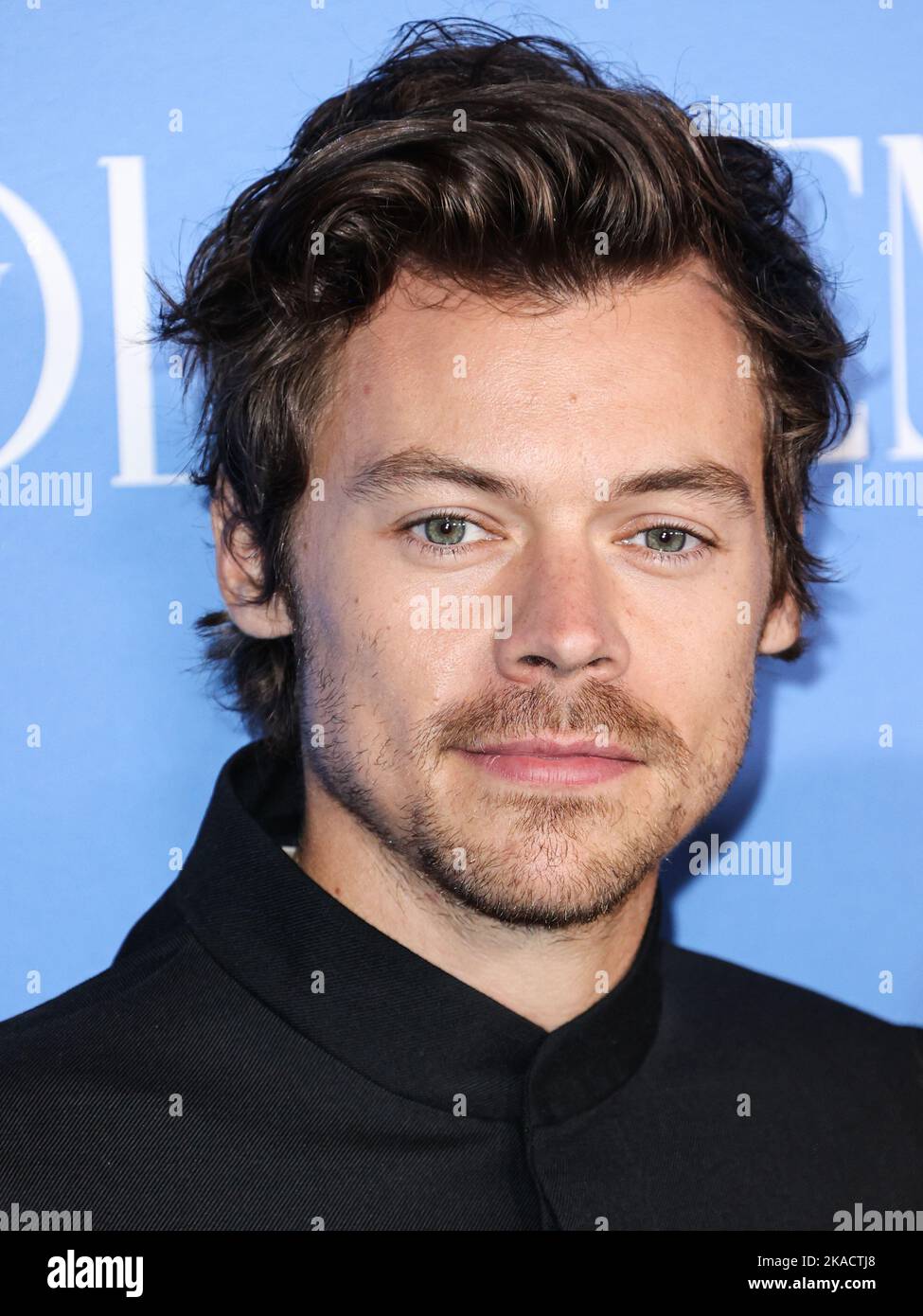 WESTWOOD, LOS ANGELES, CALIFORNIA, USA - NOVEMBER 01: English singer ...