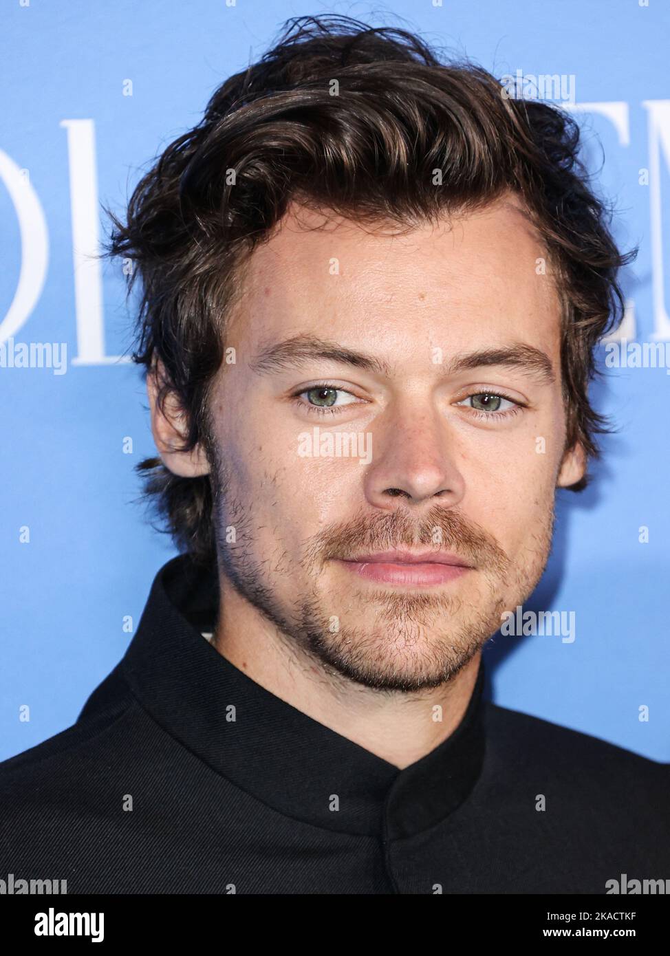 WESTWOOD, LOS ANGELES, CALIFORNIA, USA - NOVEMBER 01: English singer ...