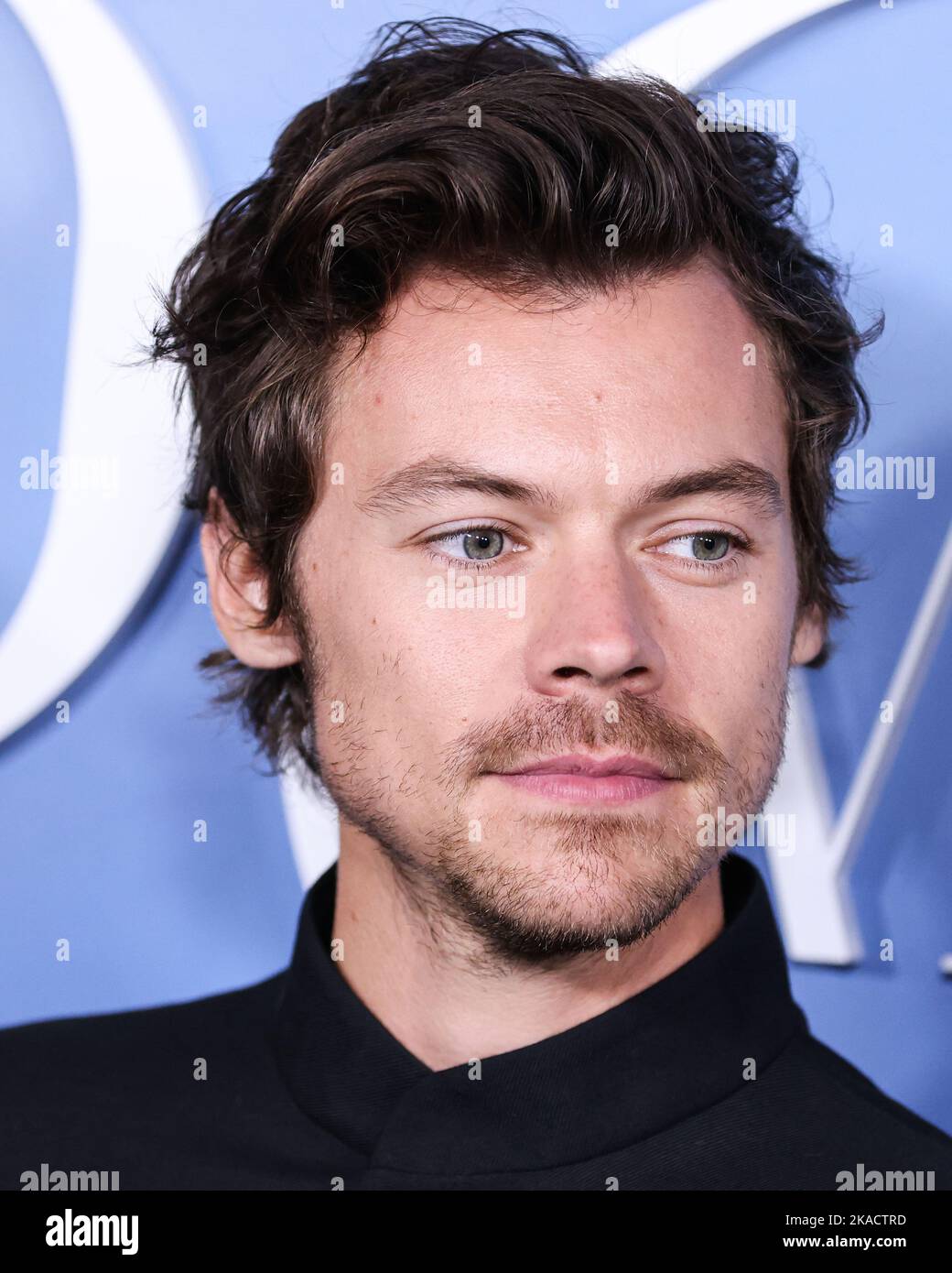 WESTWOOD, LOS ANGELES, CALIFORNIA, USA - NOVEMBER 01: English singer ...