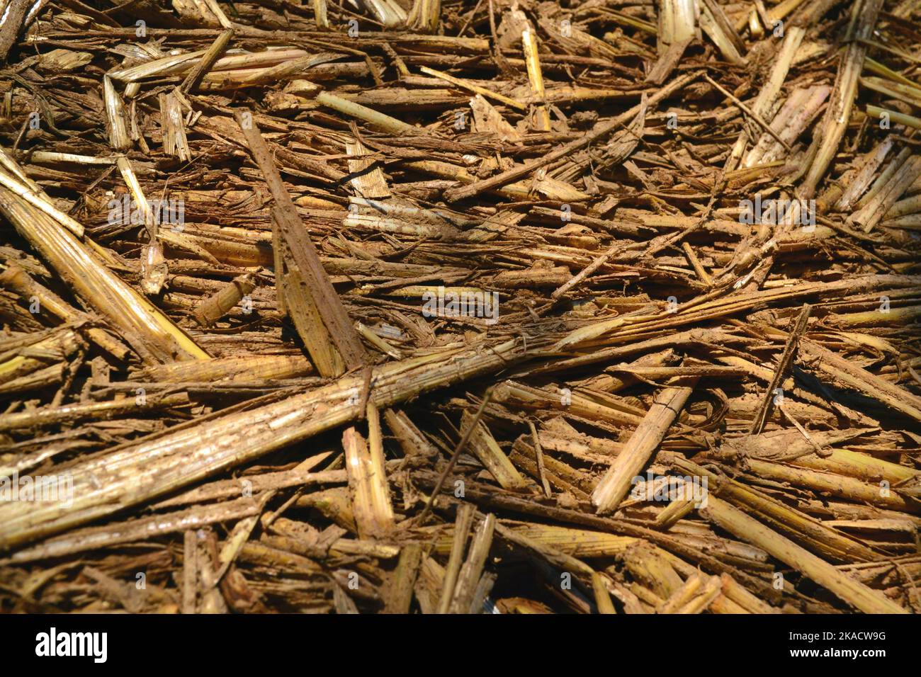 Straw clay hi-res stock photography and images - Alamy