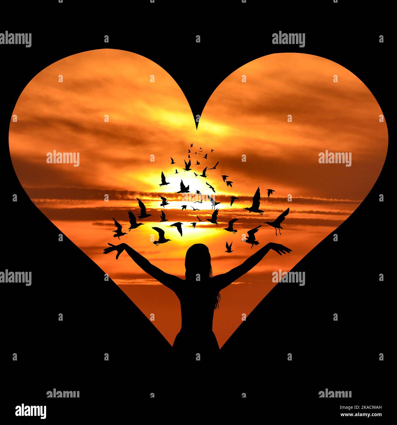 Birds flying around hi-res stock photography and images - Alamy