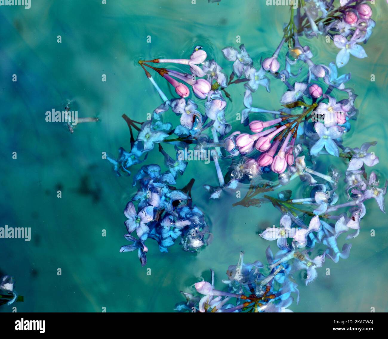Floating effect hi-res stock photography and images - Alamy