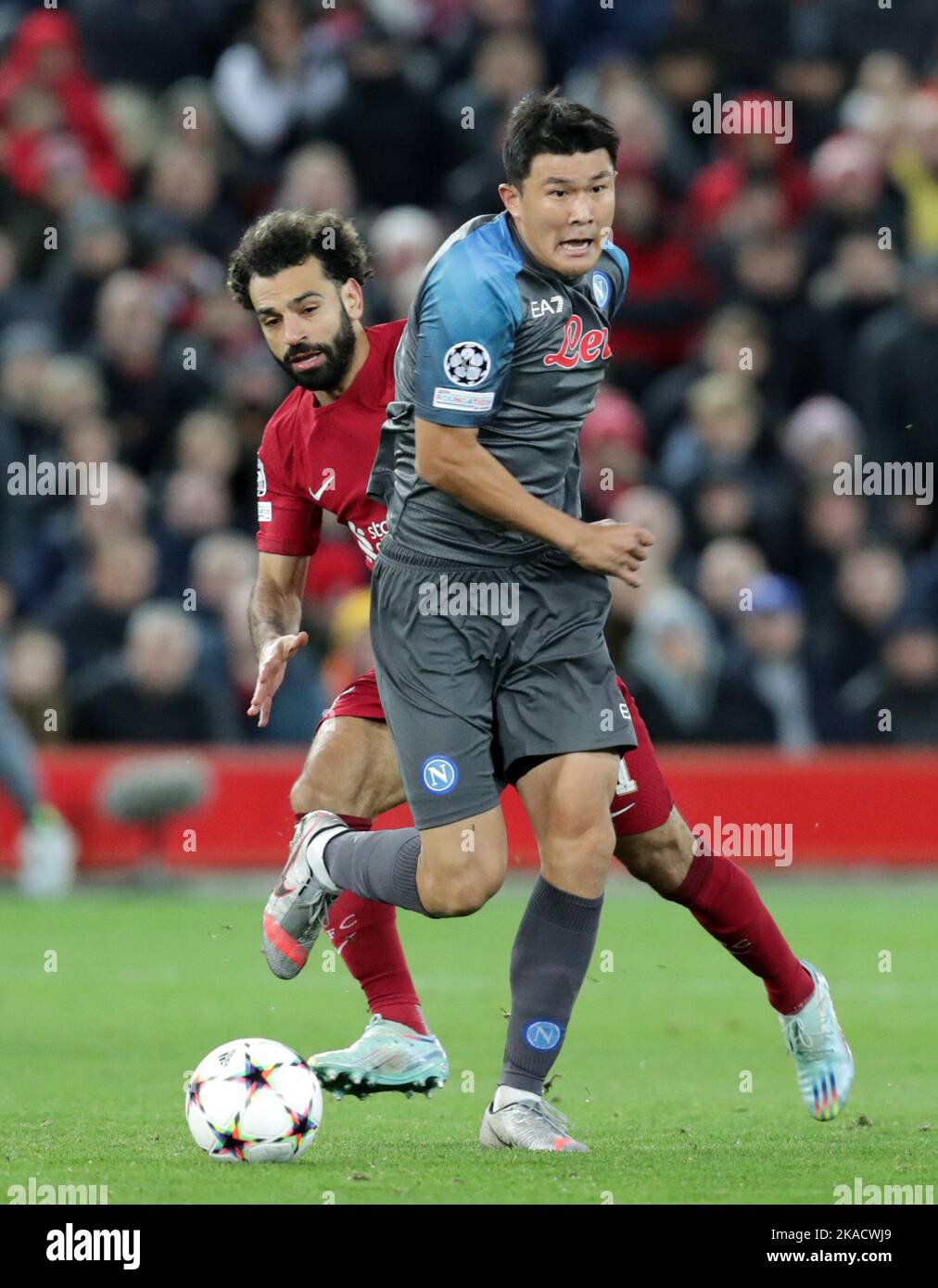 1st November 2022, Anfield Stadium, Liverpool, England: Champions League football, Liverpool ...