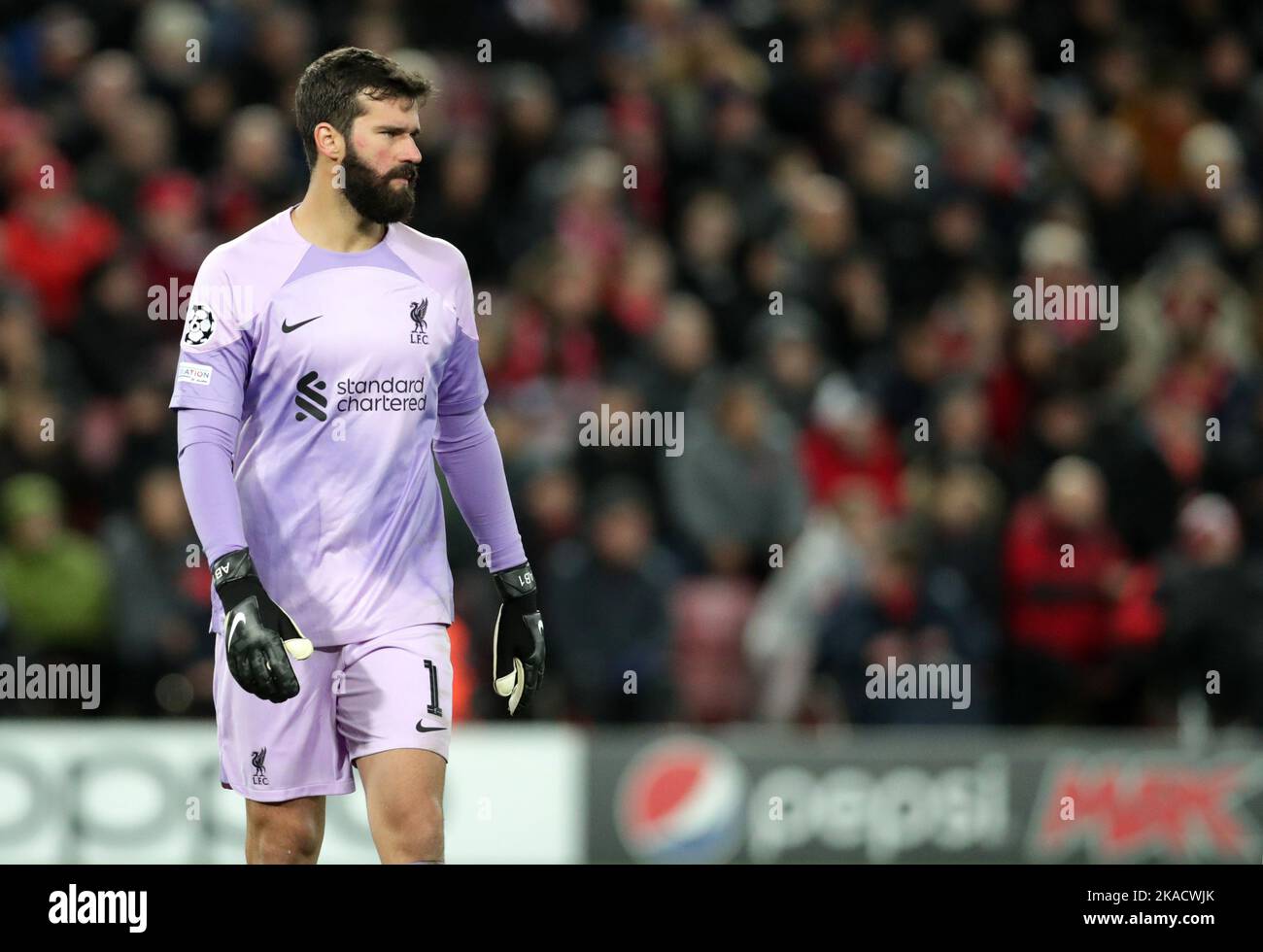 1st November 2022, Anfield Stadium, Liverpool, England: Champions ...