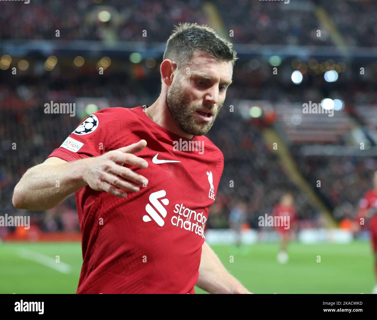 1st November 2022, Anfield Stadium, Liverpool, England: Champions ...