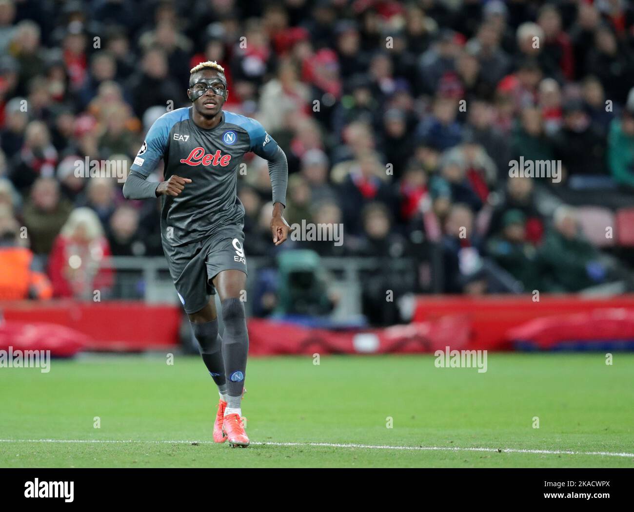 1st November 2022, Anfield Stadium, Liverpool, England: Champions ...