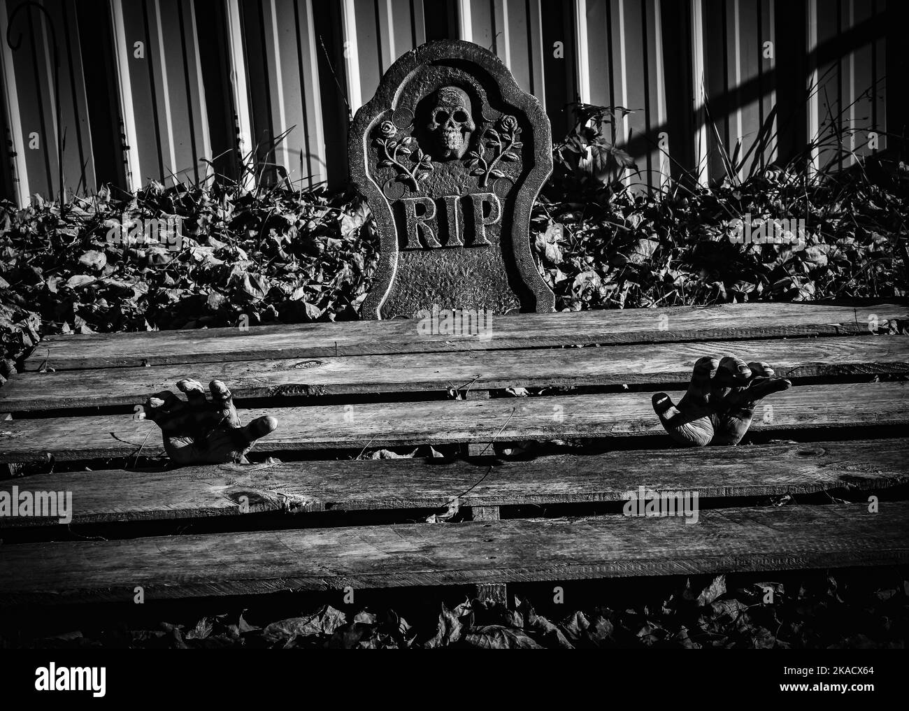 Night upclose hi-res stock photography and images - Alamy