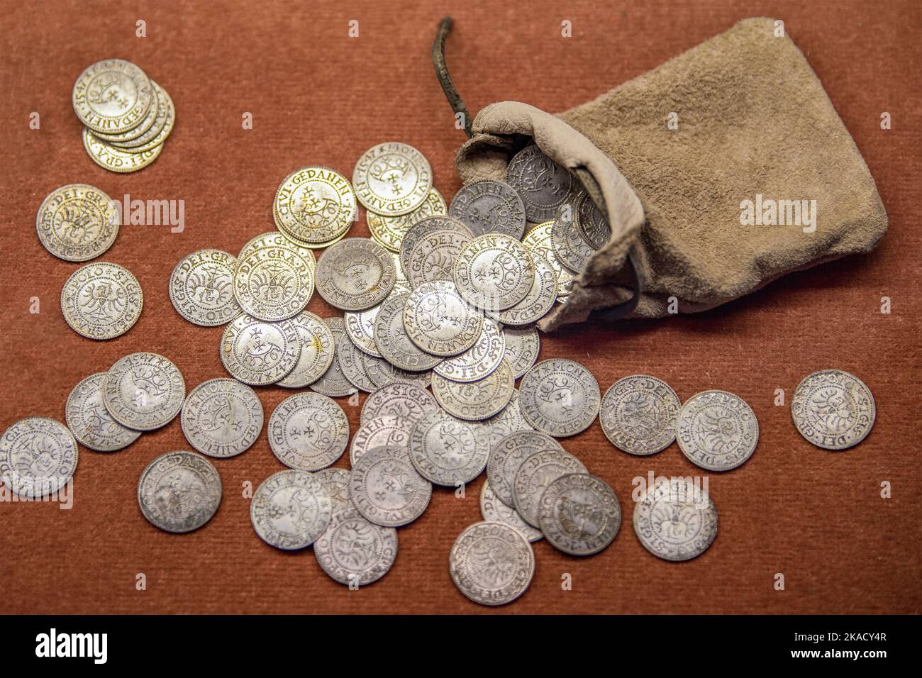 Ancient coins of the 16th century. Polish coins scattered from a sack ...