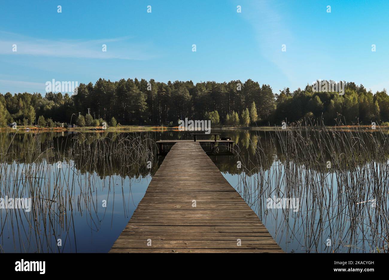 Landscape with wooden long jetty or pier in perspective, lake, forest ...