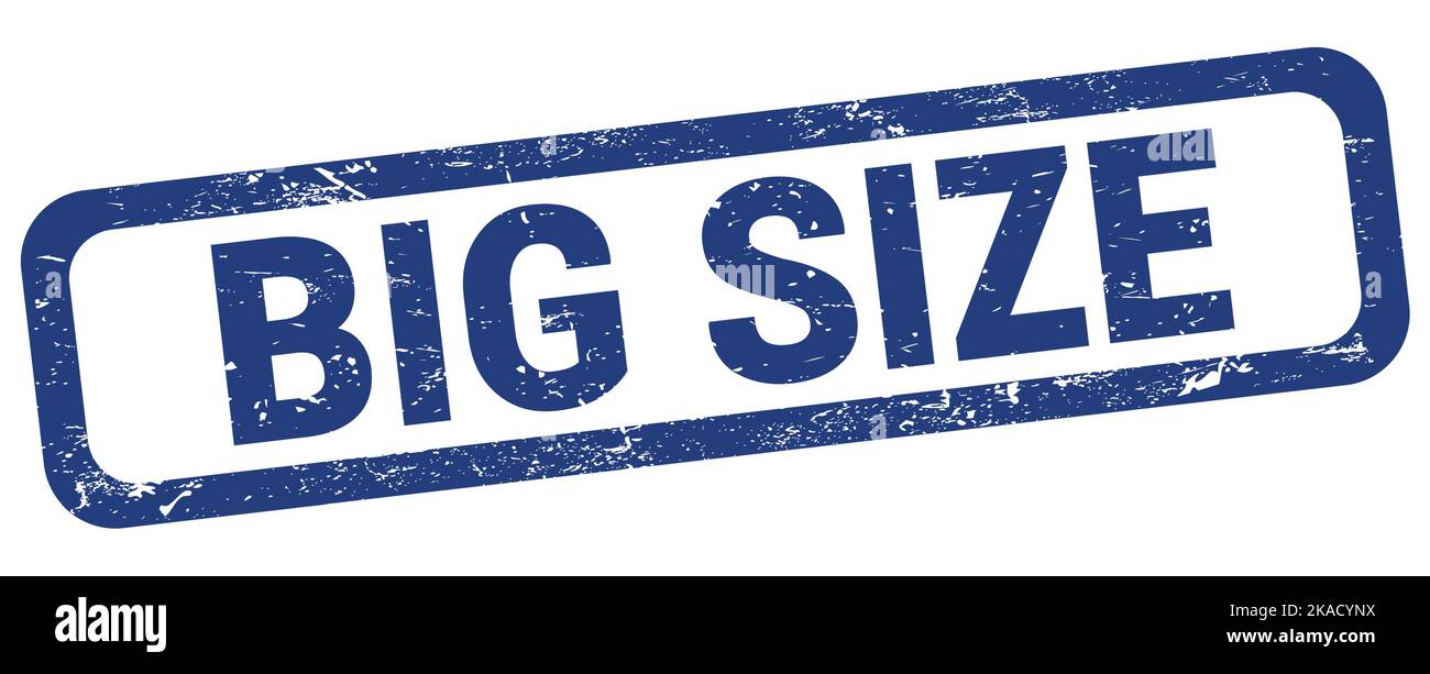BIG SIZE text written on blue rectangle stamp sign Stock Photo - Alamy
