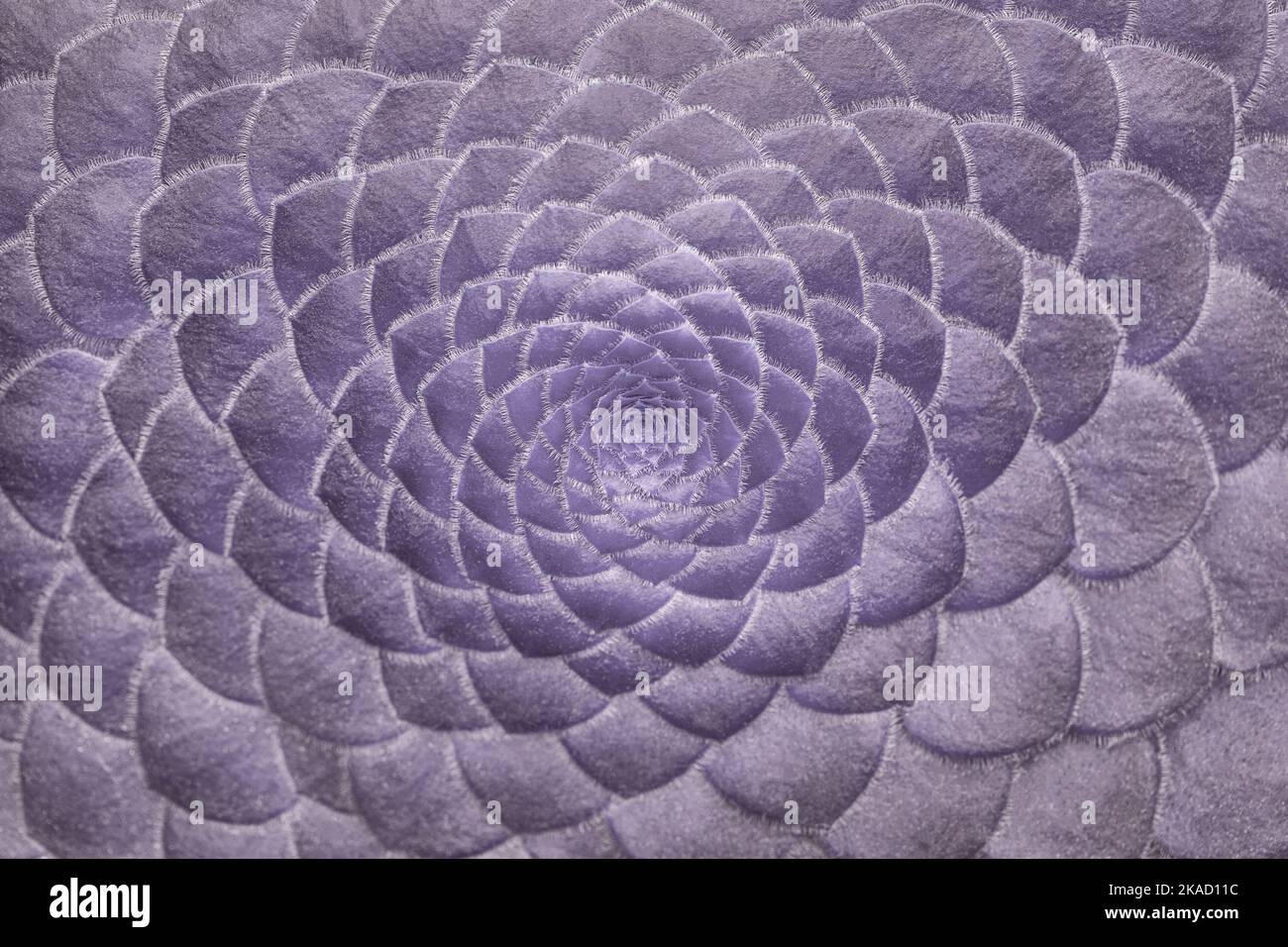 Geometry in nature hi-res stock photography and images - Alamy