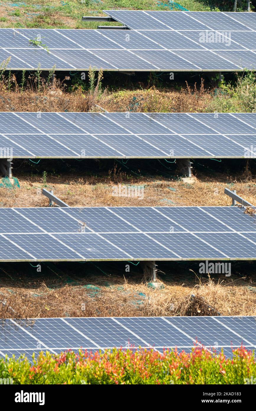 Solar panels, solar system technology solar cell in Taiwan Stock Photo ...