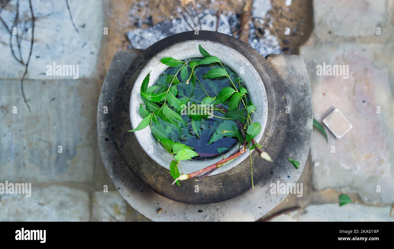Green Neem leaves known as Azadirachta indica boiled in water on chulha ...