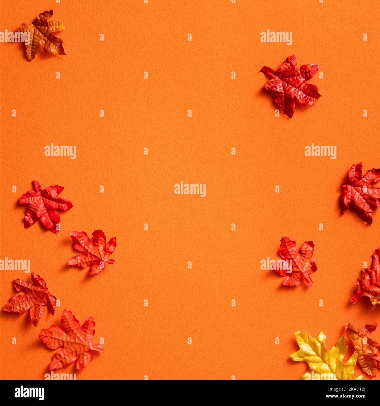 Maple leaves isolated on orange table background for design elements in ...