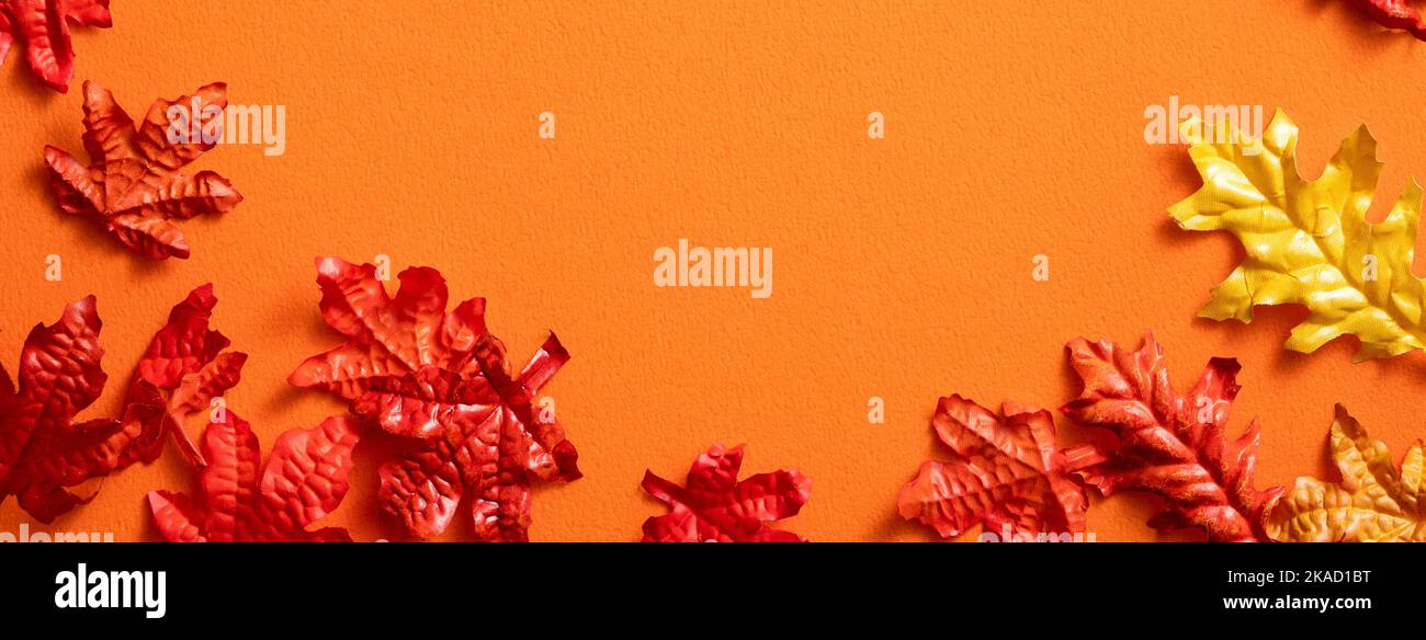 Maple leaves isolated on orange table background for design elements in ...