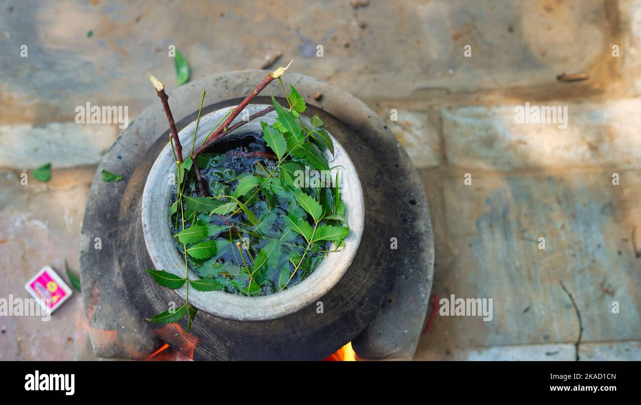 Green Neem leaves known as Azadirachta indica boiled in water on chulha ...